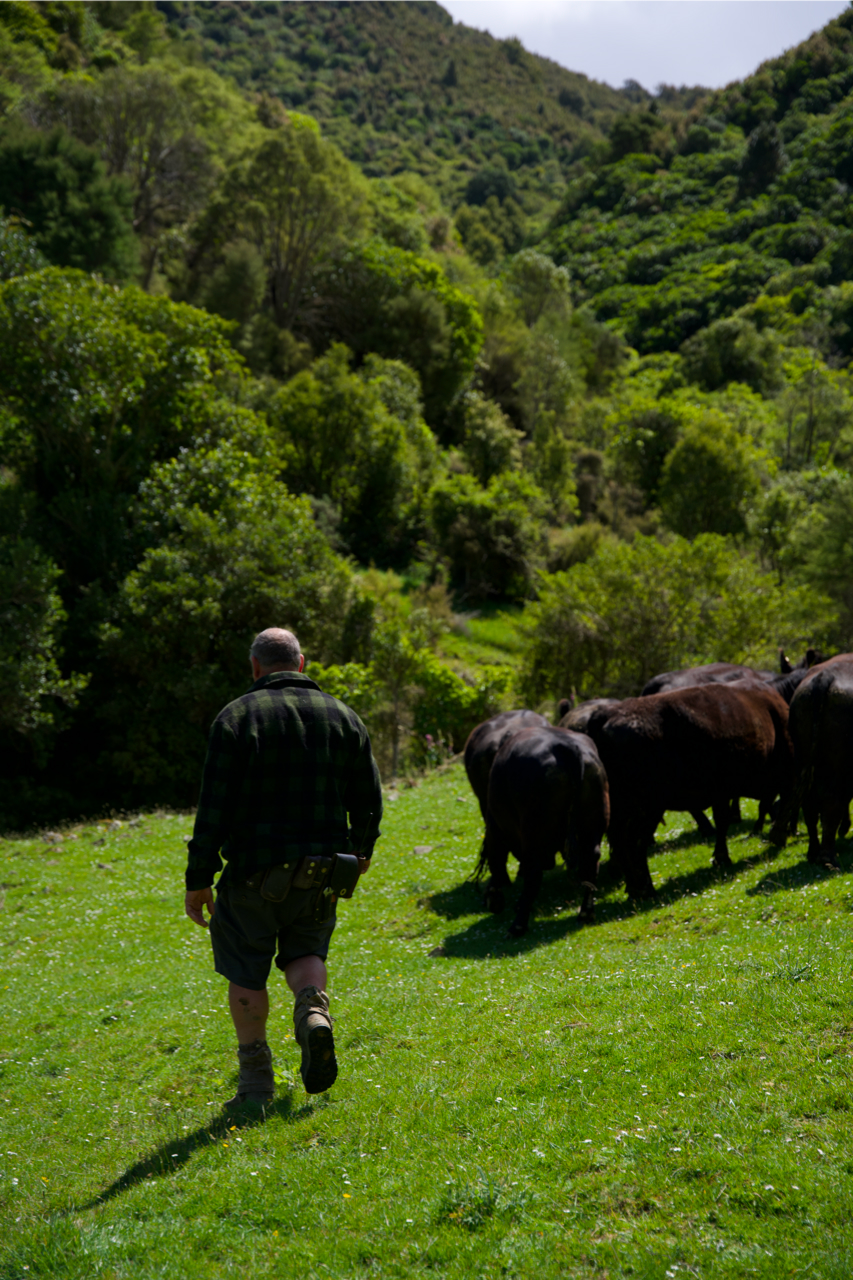 Nature Positive | Silver Fern Farms